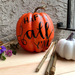 It's Fall, Y'all—and Pumpkin Season! - Jaded Studios Shop
