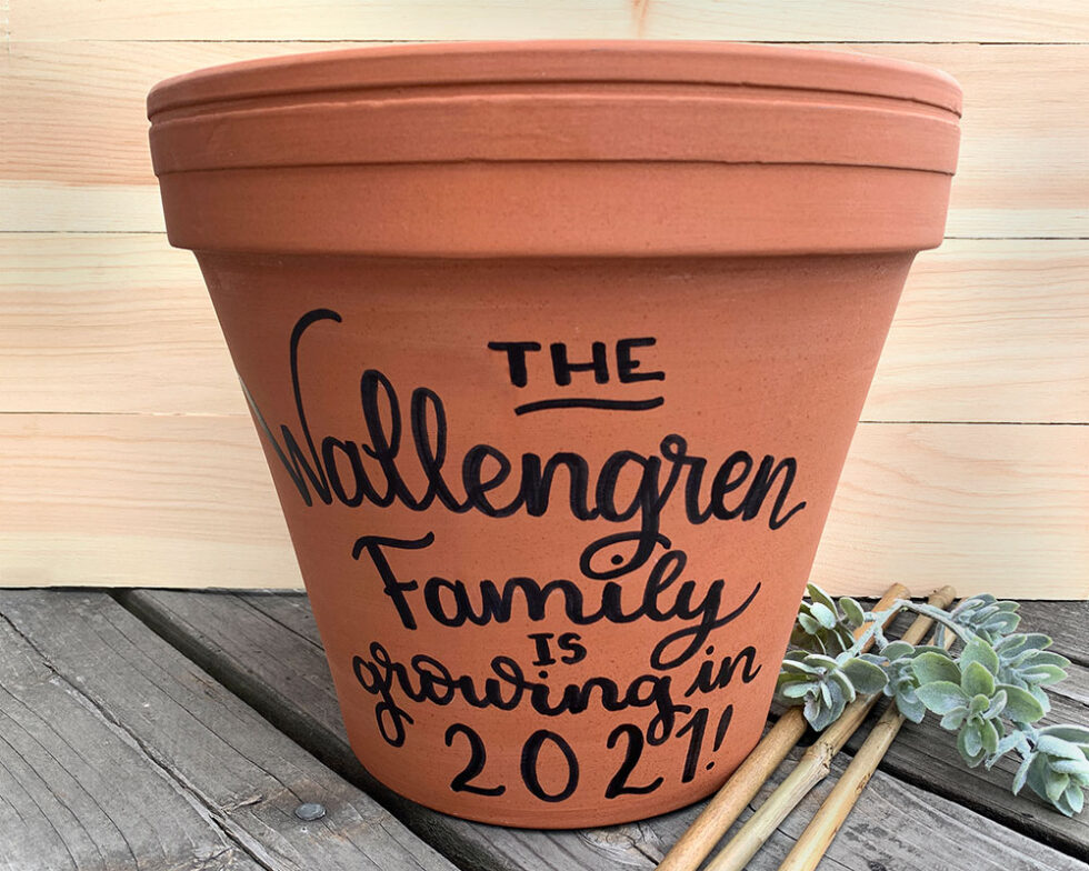 Introducing…The Pregnancy Announcement Pot - Jaded Studios Shop