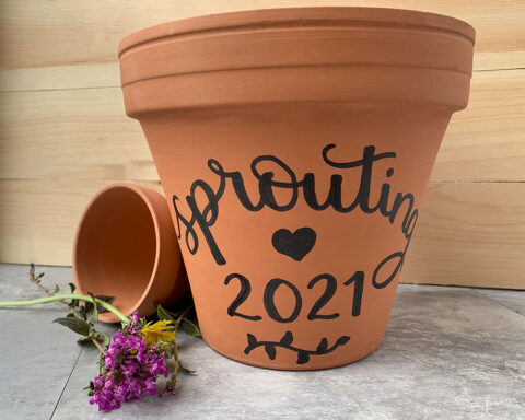 Introducing…The Pregnancy Announcement Pot - Jaded Studios Shop