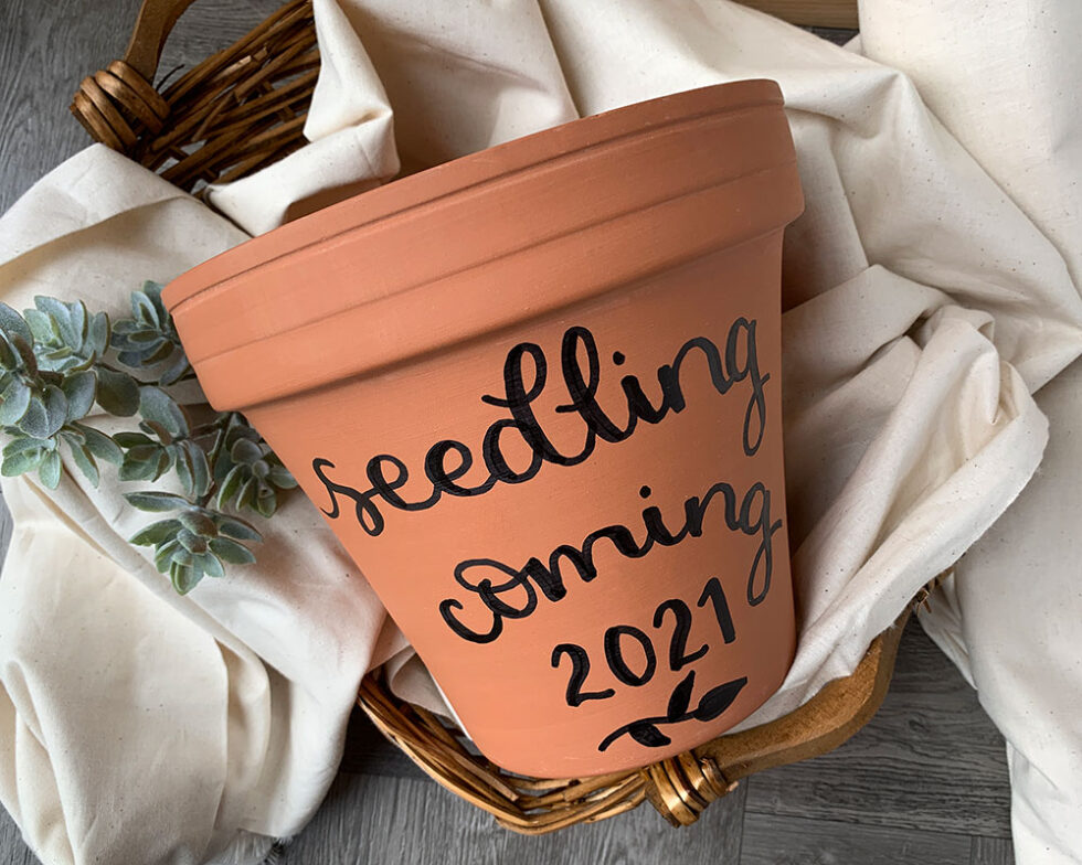 Introducing…The Pregnancy Announcement Pot - Jaded Studios Shop